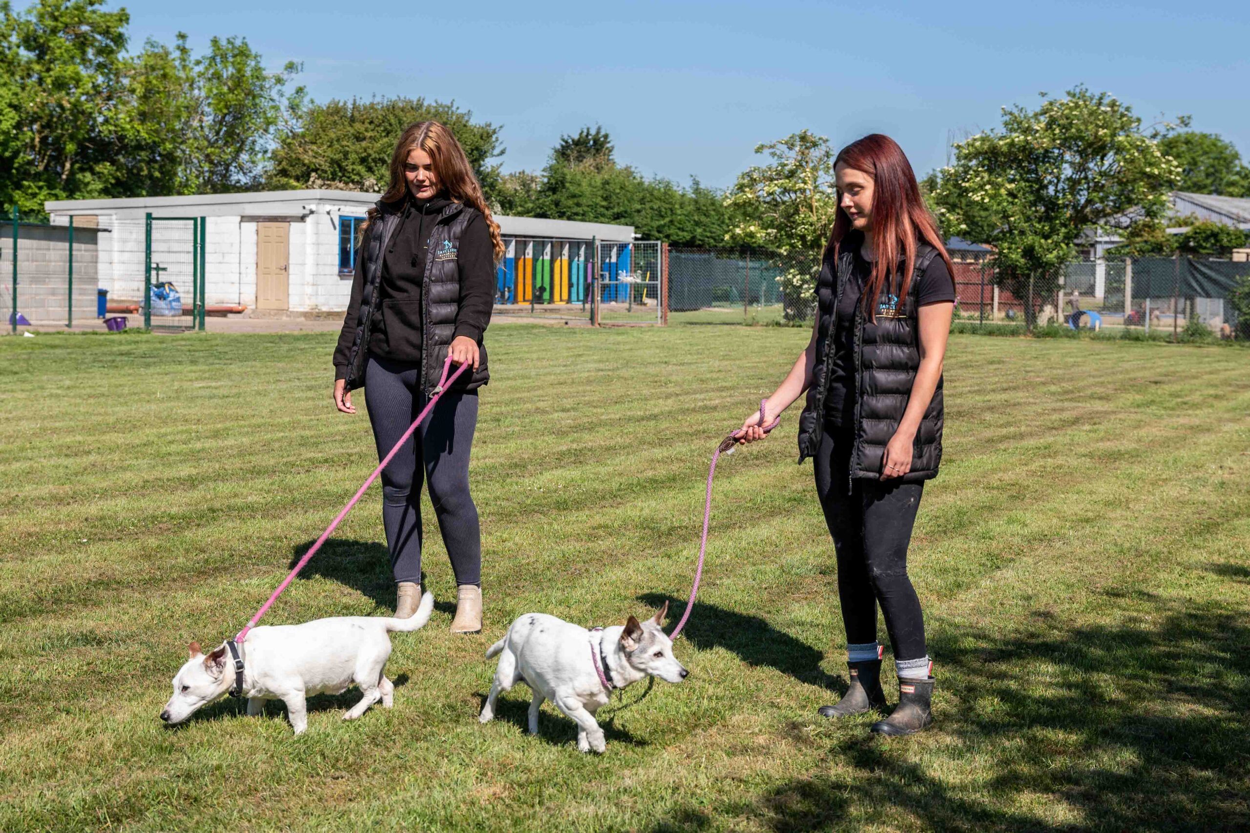 Dog Kennels in Rotherham & Sheffield | Jaycliffe