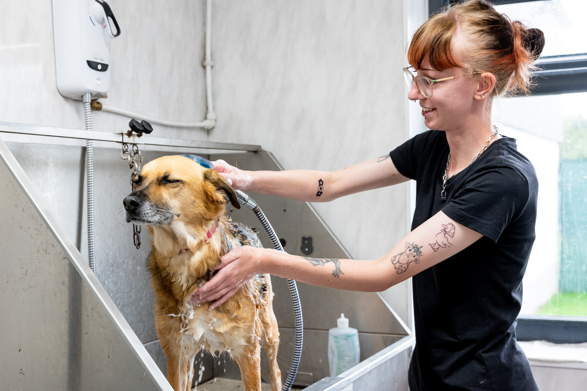 How long does a grooming session usually take? - Jaycliffe Pets